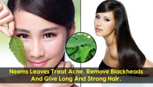 Benefits of Neem Powder for Skin and Hair - 365 gorgeous